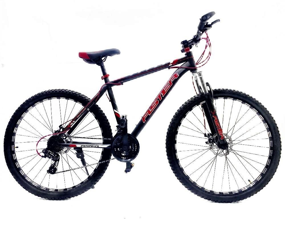 ASTER 29″ Adult Mountain Bike